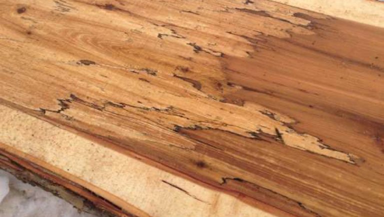 What Is Hickory Wood Used For? - WoodworkMag.Com