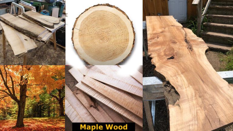 Maple Wood: Properties, Colors, Uses, Hardness, Types, Advantages ...