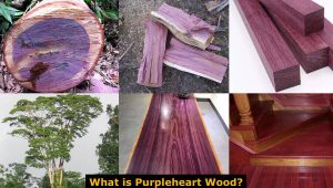 What Is Purpleheart Wood? - WoodworkMag.Com