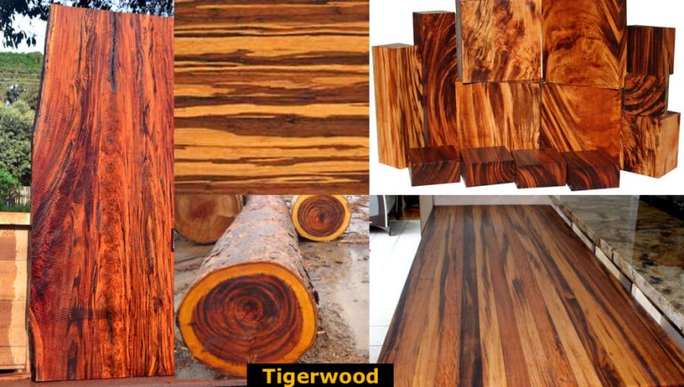 Tigerwood: Properties, Characteristics, Hardness, Types, Pros And Cons ...