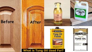 What Is Tung Oil Used For? (Uses, Advantages And Disadvantages) - WoodworkMag.Com