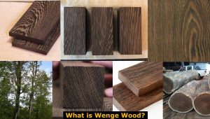 What Is Wenge Wood? - WoodworkMag.Com
