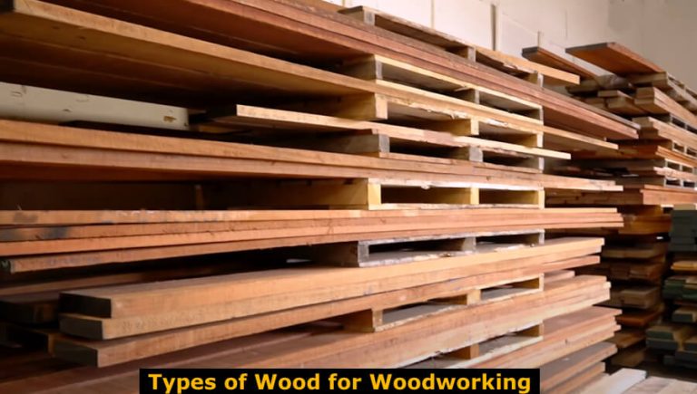 20 Different Types Of Wood For Woodworking - WoodworkMag.Com